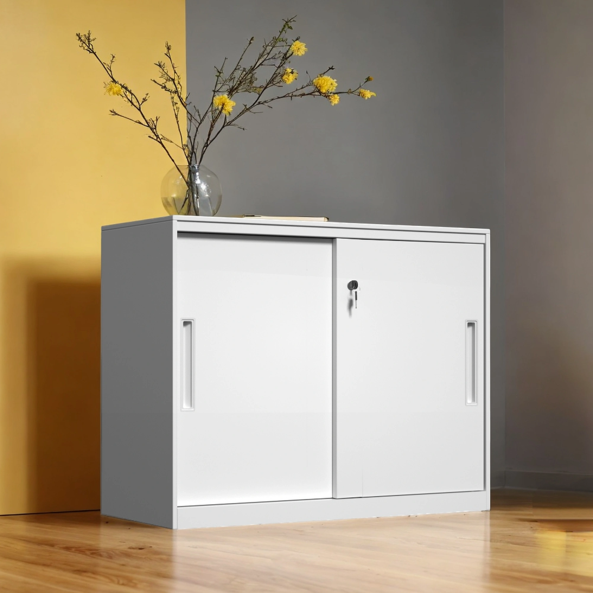 ZenSpace Minimal Office Metal Cabinet - Mr Nanyang